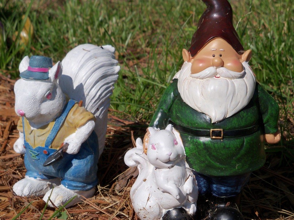 Olney, Illinois: Once Home to Albino Squirrels. Now Home to Gnomes ...