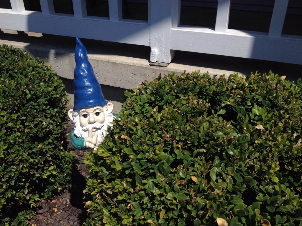 Gnome Sightings in Amish Country | The Drunk Gnome